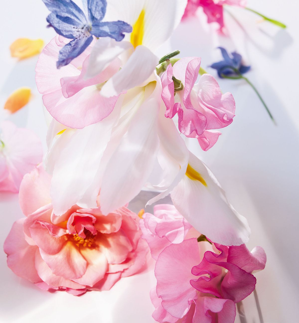 Miss Dior Eau de Parfum: el nuevo perfume floral Dior - DIOR